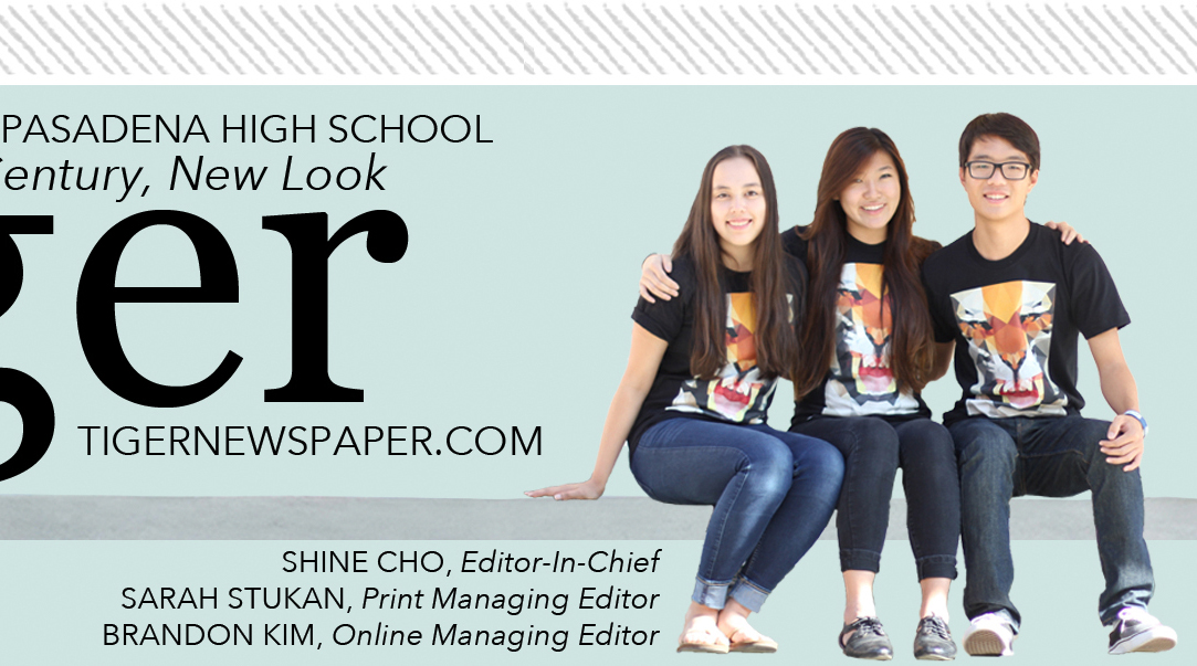 RS tiger online banner