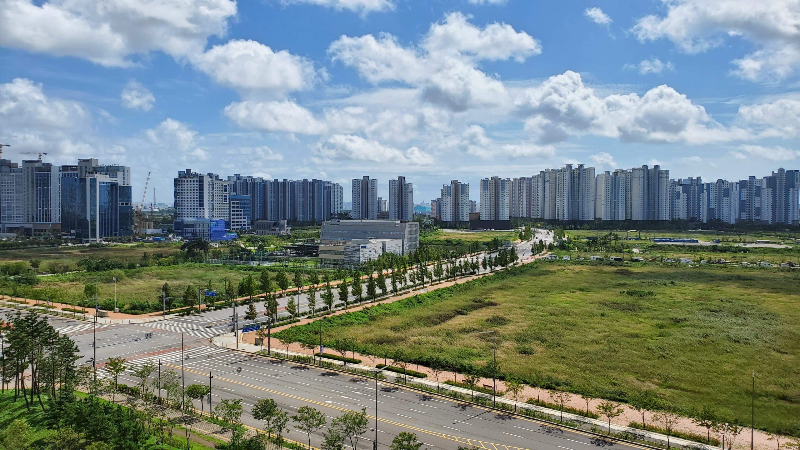 shane yu – Tiger Newspaper